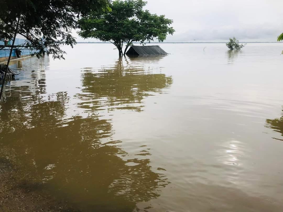 ဧရာ၀တီတိုင်းအတွင်းရှိ ဧရာဝတီမြစ်၊ ငဝန်မြစ် နှင့် တိုးမြစ်ရေသည် စိုးရိမ